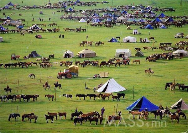 Даншиг наадмаар гарч болзошгүй эрсдэлээс урьдчилан сэргийлж ажиллах