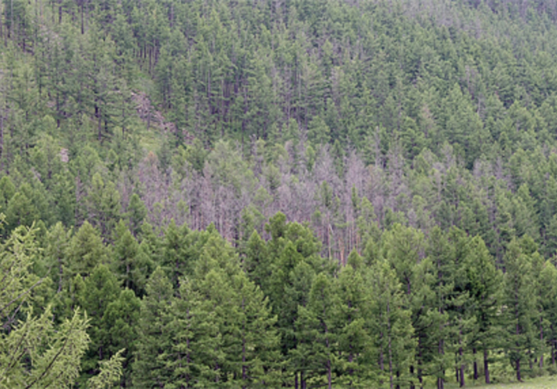 Ойн тухай хуульд нэмэлт өөрчлөлт оруулна