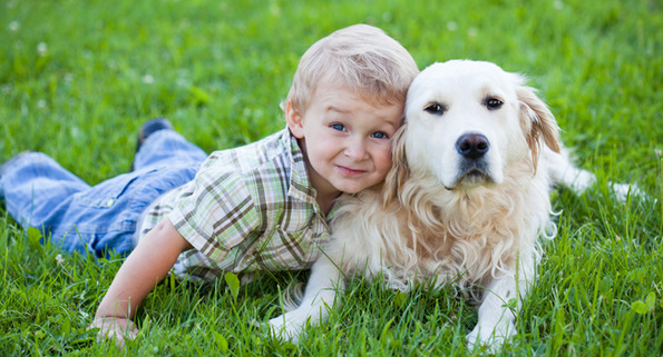 Нохой тэжээж өссөн хүүхэд хамгийн халамжтай эхнэр нөхөр болдог