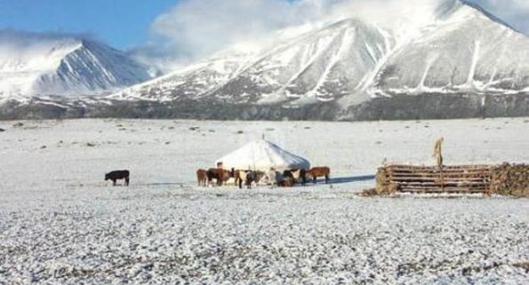 Дөрвөн аймгийн малчдад зориулж 3 сая ам долларын төсөл хэрэгжүүлнэ