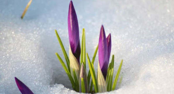 Өнөөдөр ХАНШ нээх өдөр