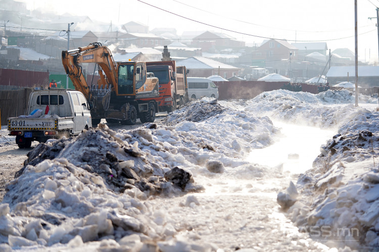 Сонгинохайрхан дүүргийн арван хороонд халиа тошин үүсжээ