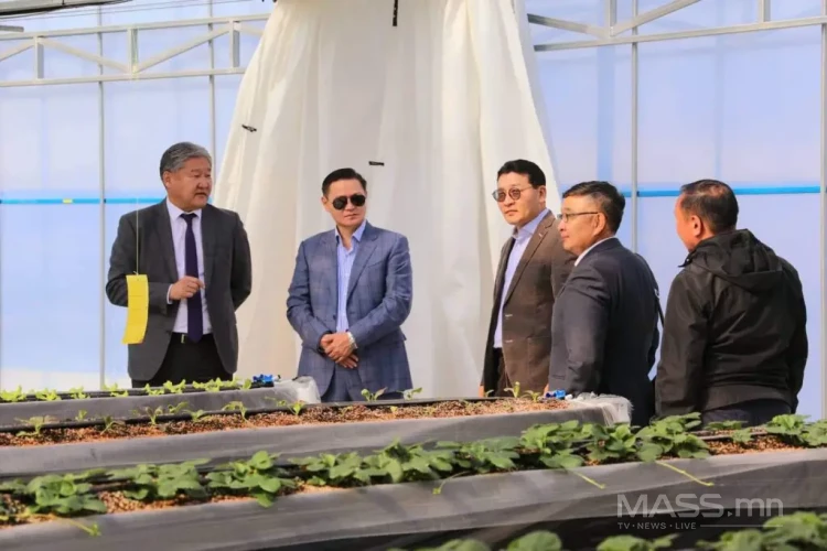 “Нарны эрчим хүч үйлдвэрлэх системд суурилсан монголын нөхцөлд тохирсон ухаалаг хүлэмжийн аж