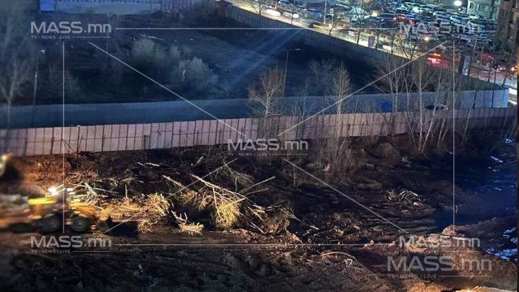 Ж Ганбаатар сайдын хамаарал бүхий Камдер компанид ногоон байгууламж