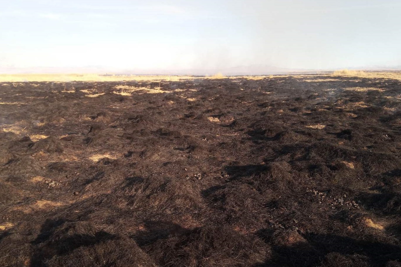 Сүүлийн гурван өдрийн хугацаанд 9 удаагийн ой хээрийн түймрийн дуудлага бүртгэгдлээ