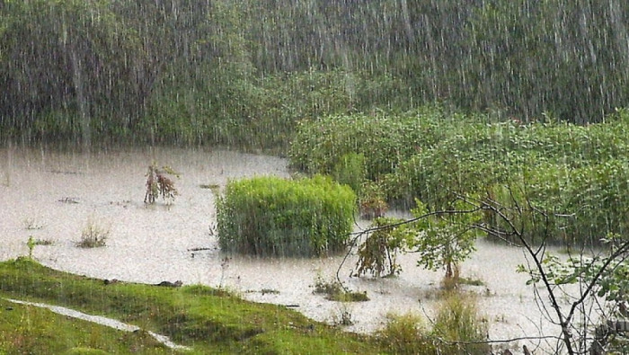 Наймдугаар сарын 1 2 нд нутгийн төв хэсгээр аадар бороо үргэлжлэн орно