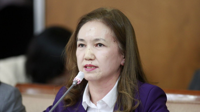 Д Сүнжид 2017 онд эхлүүлсэн “Агаар орчны бохирдлыг бууруулах үндэсний хөтөлбөр” ийн 87 хувь нь