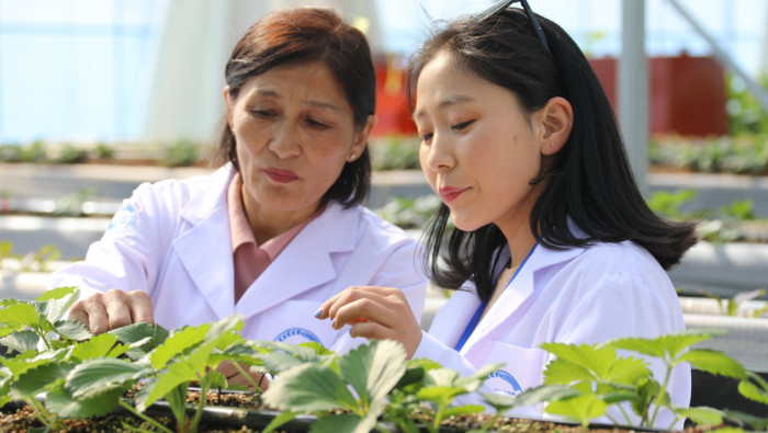 Монгол Улсад анх удаа нарны эрчим хүч үйлдвэрлэх системд суурилсан ухаалаг хүлэмж нээлтээ хийлээ