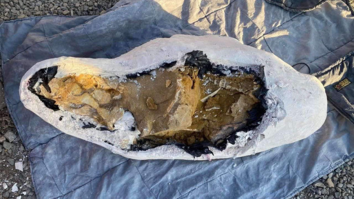 ДИНОЗАВРЫН ЯСЫГ ХУУЛЬ БУСААР ХАДГАЛЖ ӨНДӨР ҮНЭЭР ЗАРЖ БОРЛУУЛАХ ГЭЖ БАЙСНЫГ ТАСЛАН ЗОГСООЖЭЭ