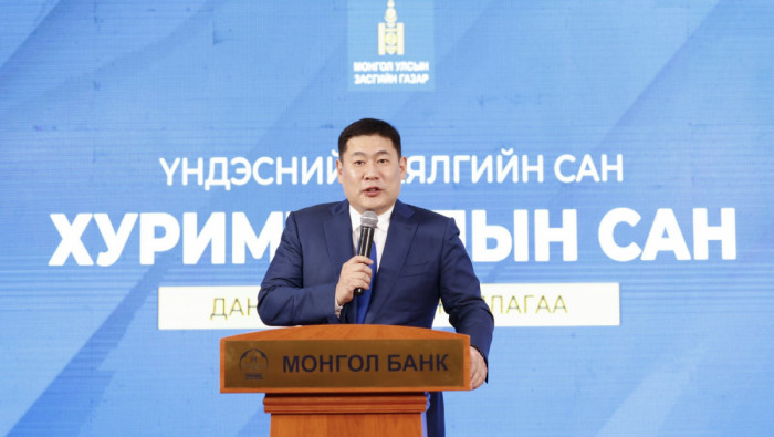Үндэсний баялгийн сангийн хөрөнгөөр хөрөнгө оруулалт хийж үржүүлэхийн
