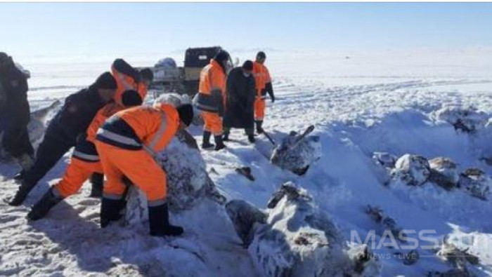 Согтуурсан үедээ хадан хясаанаас үсрэх гэж байсан иргэнийг эсэн мэнд