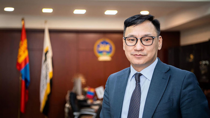 ЦЕГ Б Ганхуягийн цуснаас илэрсэн 9 29 мкг дл хүнцлийн хэмжээг нэгжид