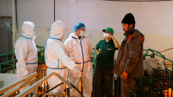 Э Батсайхан Хүнсний хувьсгалын хүрээнд гахайн аж ахуйн салбарыг орхигдуулалгүй дэмжсэнд